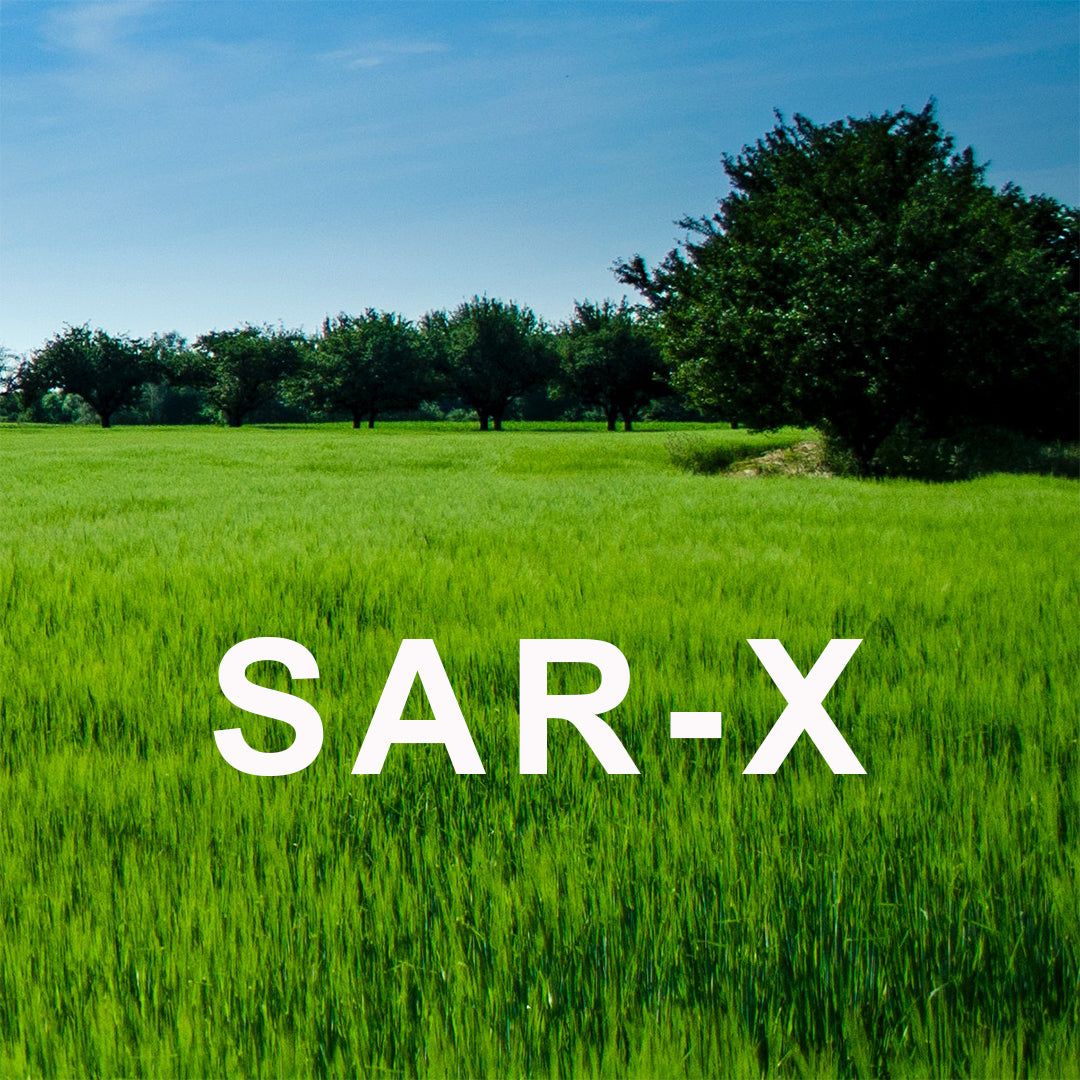 SAR-X